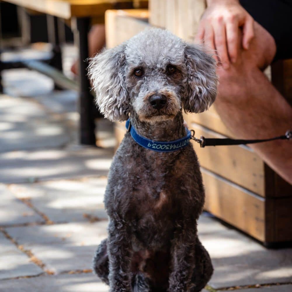 Allerton Manor Golf Club, Liverpool | Golf, Weddings & Fine Dining